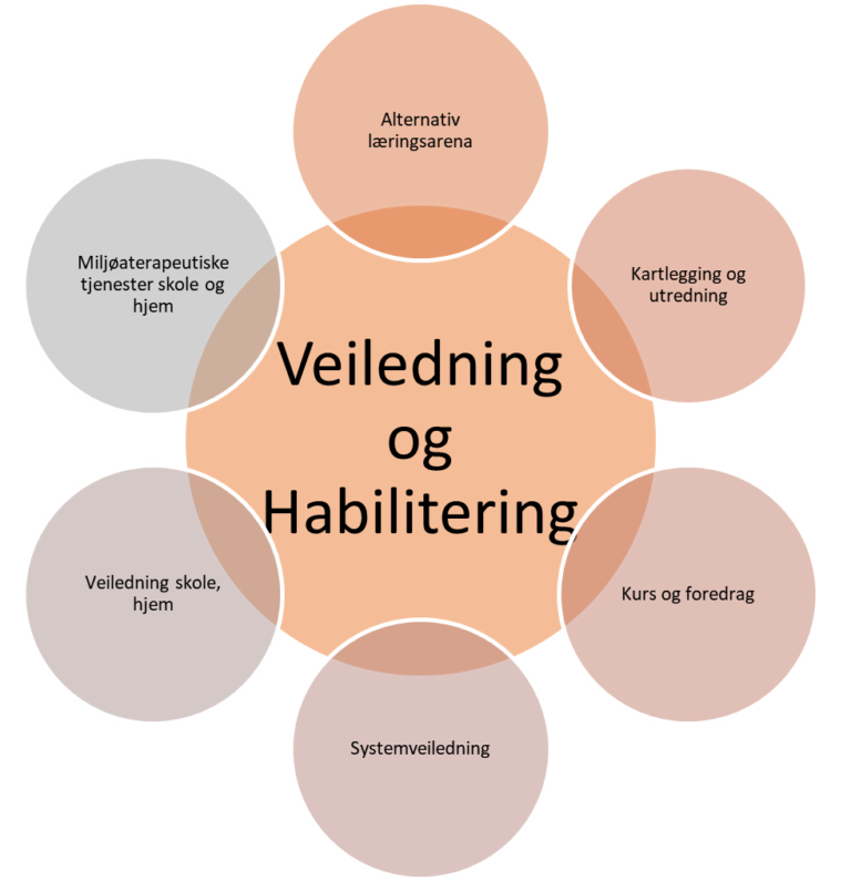 Veiledning og Habilitering - Ecura AS